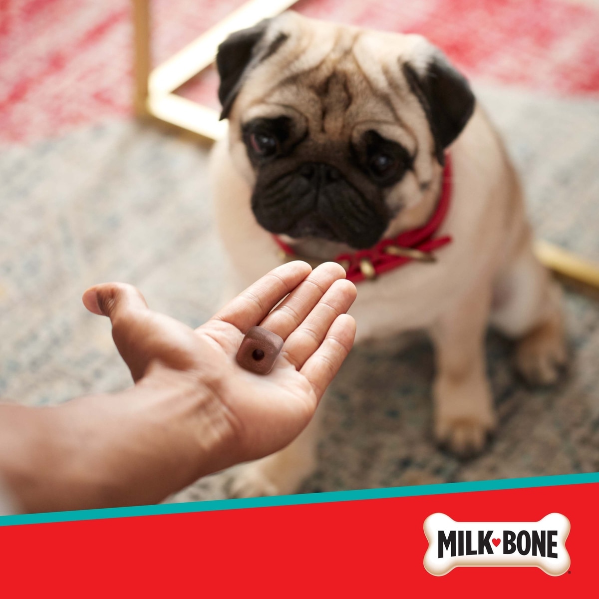 Discontinued - MILK-BONE Pill Pouches Hickory Smoked Bacon Flavor Soft ...