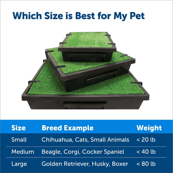 PETSAFE Pet Loo Portable Indoor & Outdoor Dog Potty, Medium - Chewy.com