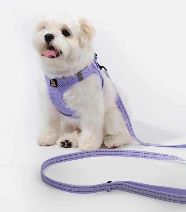 SMALL BREED DOG HARNESSES (Free Shipping) | Chewy