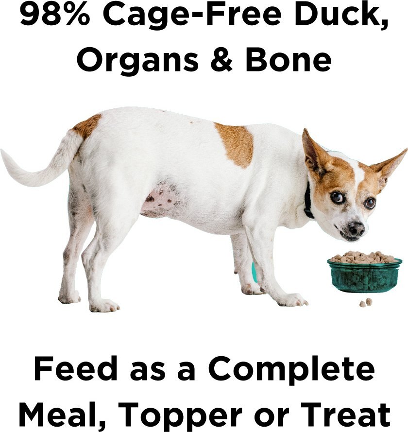 BIXBI Rawbble Duck Recipe Grain-Free Freeze-Dried Dog Food, 12-oz bag ...