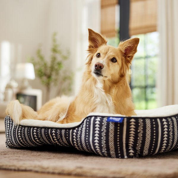 FRISCO Sherpa Bolster Cat & Dog Bed, Southwest Stripe, Large - Chewy.com