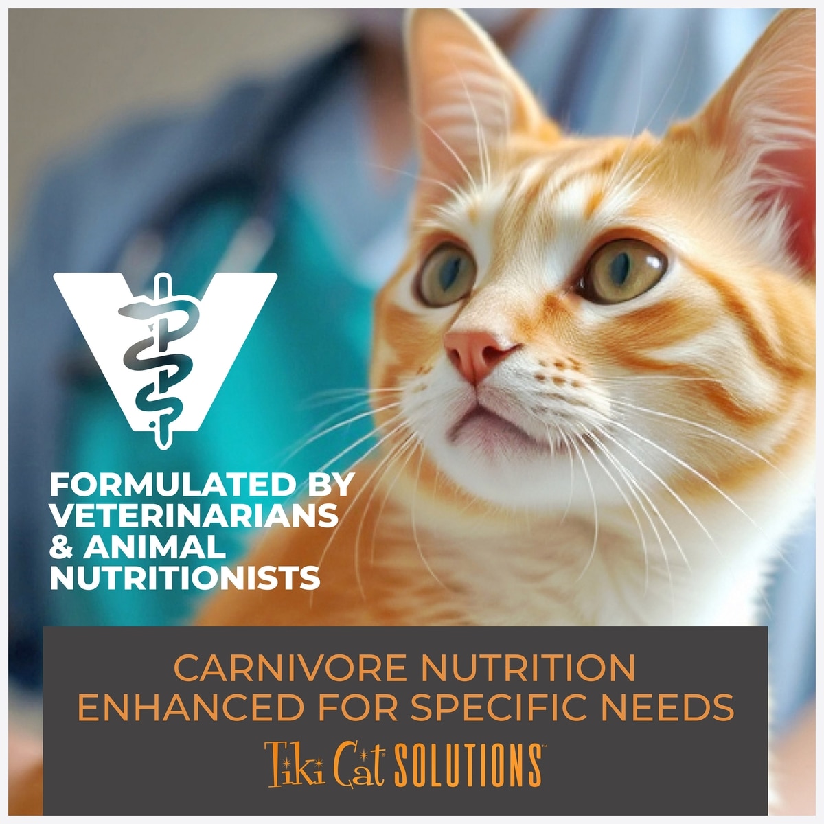 New Version Available - TIKI CAT Solutions Fussy Tuna Recipe in Broth ...