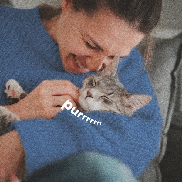 ADAMS Plus Flea & Tick Shampoo Sensitive Skin for Cats & Dogs, 6-fl oz ...