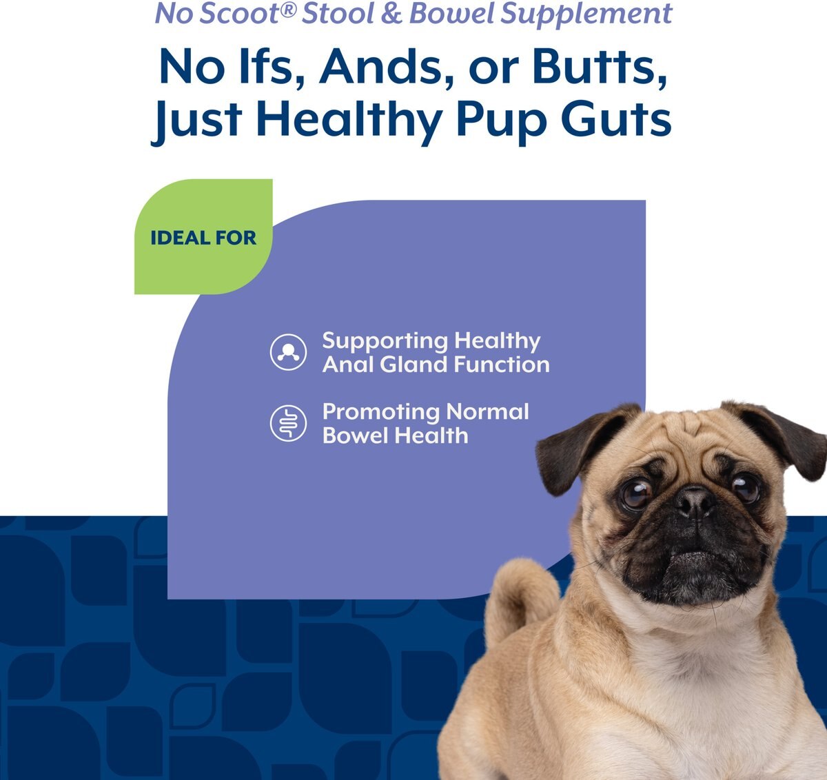 NATURVET No Scoot Stool & Bowel Hickory Smoked Bacon Flavored Soft Chew ...