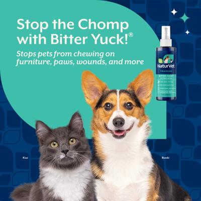 NATURVET Bitter Yuck! No Chew Training Spray for Dogs & Cats, 8-fl oz ...