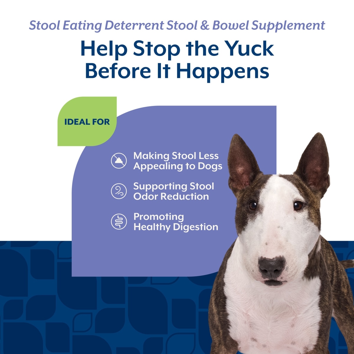NATURVET Stool Eating Deterrent Stool & Bowel Bacon & Chicken Flavored ...