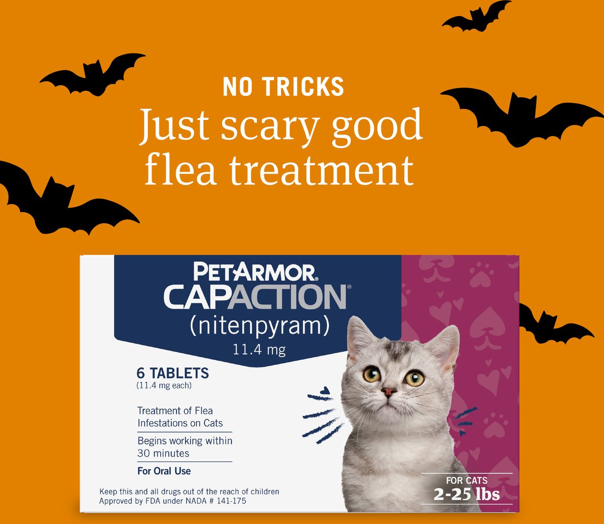 PETARMOR CapAction Flea Tablets for Cats, 12 Tablets bundle - Chewy.com