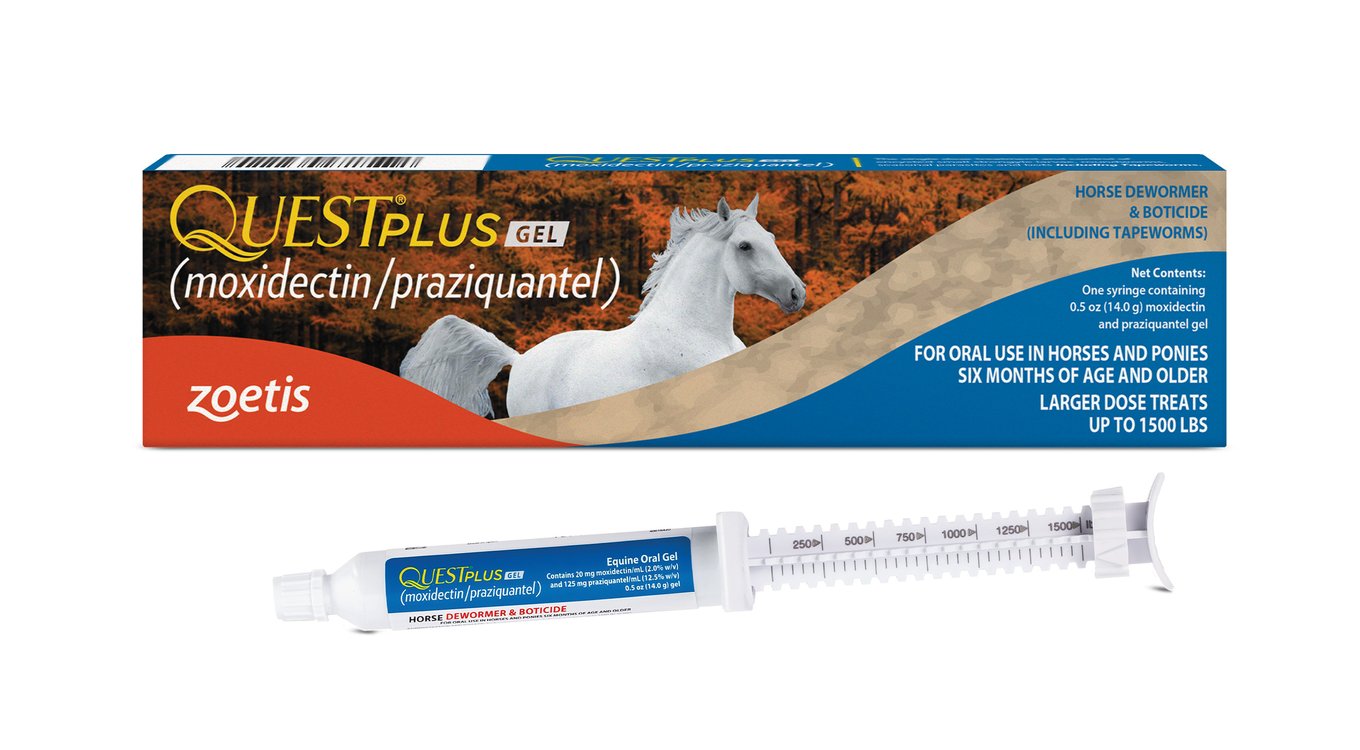 QUEST PLUS Gel Dewormer & Boticide for Horses & Ponies, 0.5-oz syringe ...