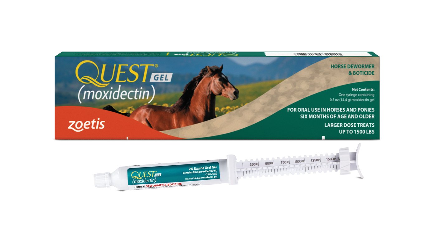 QUEST Gel Moxidectin Dewormer & Boticide for Horses & Ponies, 0.5-fl oz ...