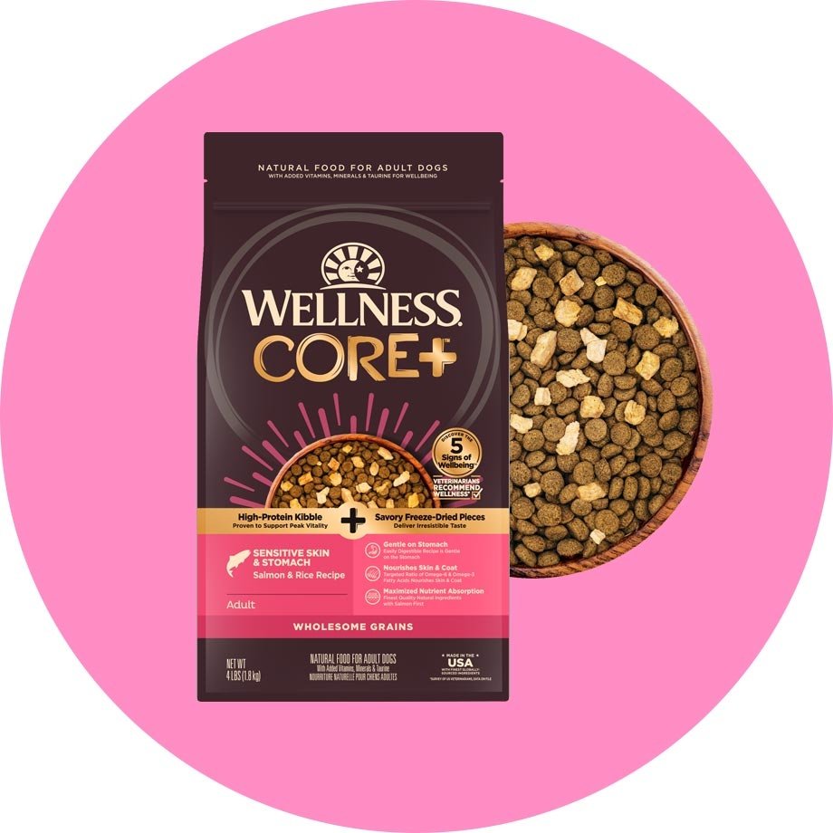 Wellness Food, Treats & Toppers for Dogs - Free shipping | Chewy
