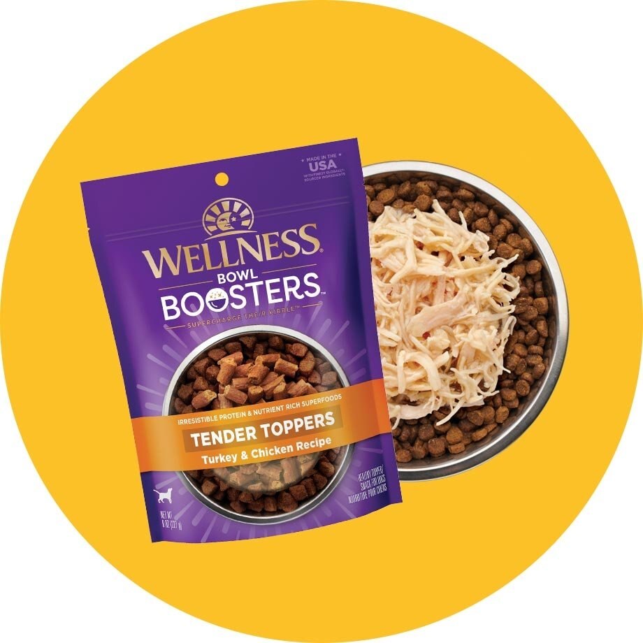 Wellness Food, Treats & Toppers for Dogs - Free shipping | Chewy