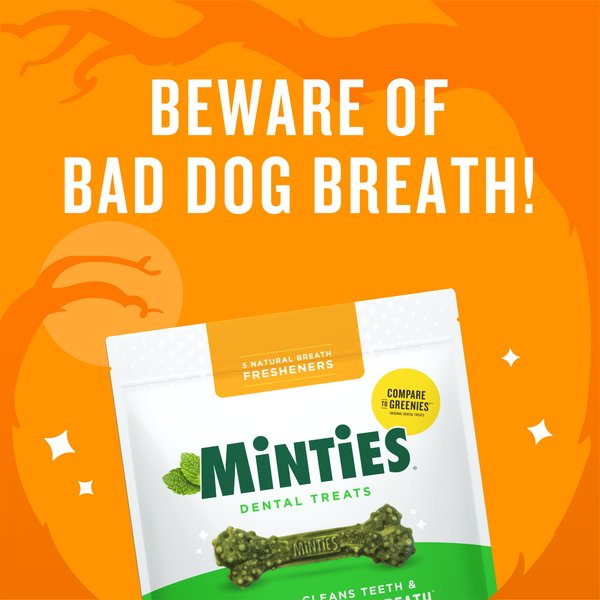 MINTIES Large Mint Flavored Dental Dog Treats 50+ lbs, 48-oz bag, 36 ...
