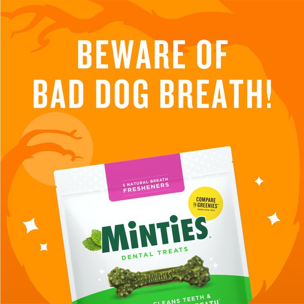 MINTIES Tiny/Small Mint Flavored Dental Treats for Dogs, 5-24 lbs, 6.4 ...