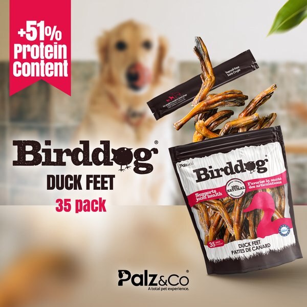 PALZ&CO Birddog Duck Feet Dog Natural Chew Treats, 10-oz bag, 35 count ...