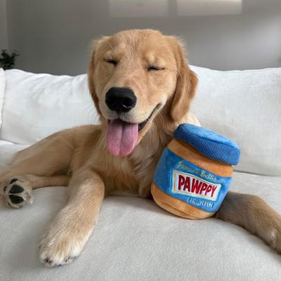 CHEWFFON Peanut Butter Enrichment Dog Plush Toy, Yellow - Chewy.com