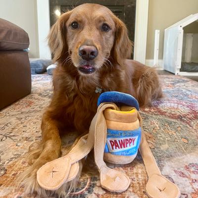 CHEWFFON Peanut Butter Enrichment Dog Plush Toy, Yellow - Chewy.com