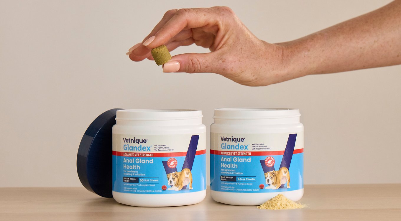 VETNIQUE LABS Glandex Medicated Anal Gland Fast Acting in Pain ...