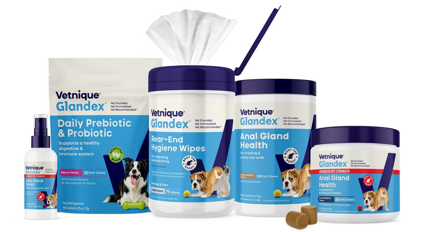 VETNIQUE LABS Glandex Medicated Anal Gland Fast Acting in Pain ...