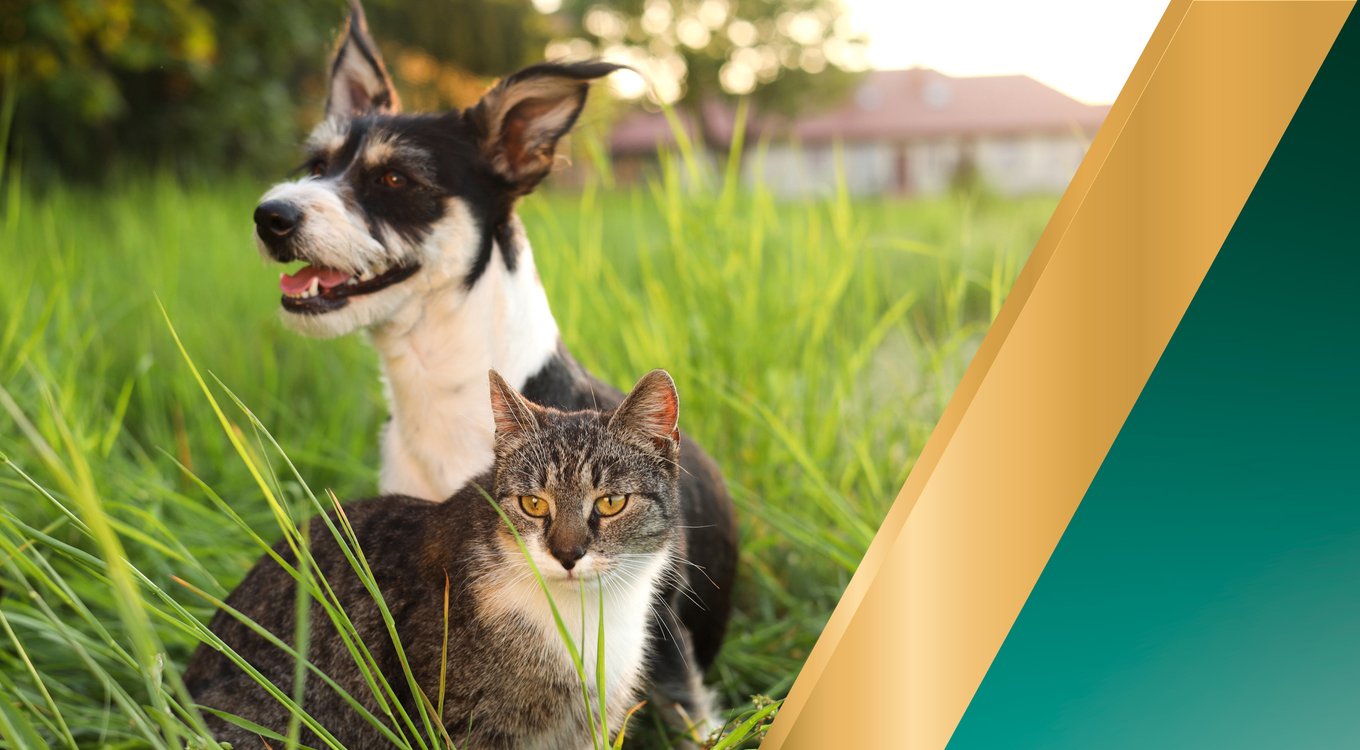 VETRISCIENCE Veterinary Strength Calm & Confident Composure Pro Chicken ...