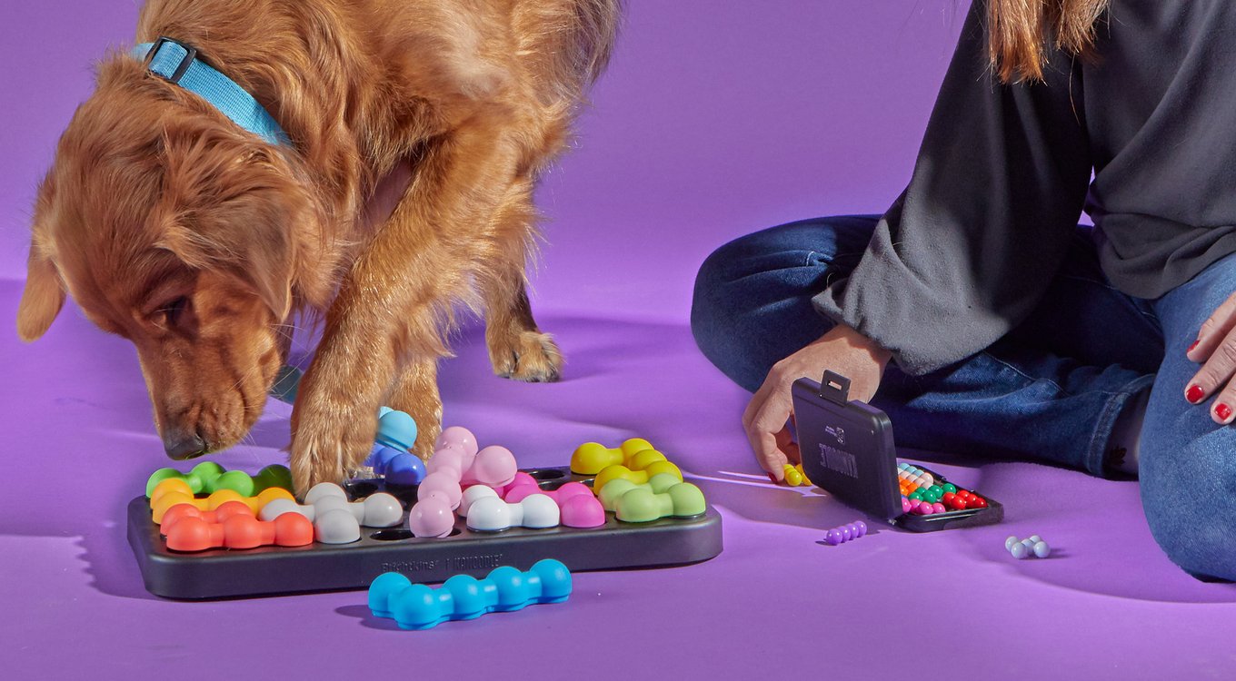 BRIGHTKINS Kanoodle Puzzle Dog Toy, Large - Chewy.com