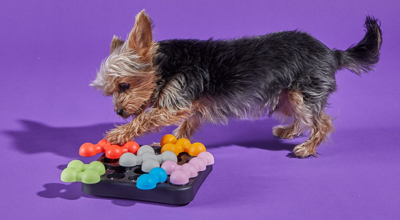 BRIGHTKINS Kanoodle Puzzle Dog Toy, Large - Chewy.com