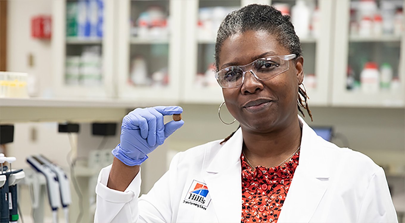 HILL'S PRESCRIPTION DIET Multi-Organ Support Chicken Wet Cat Food, 5.5 ...