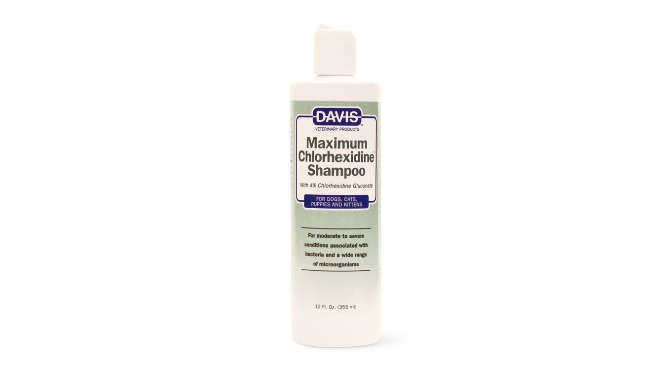 DAVIS Maximum Chlorhexidine Dog & Cat Shampoo, 12-fl oz bottle - Chewy.com