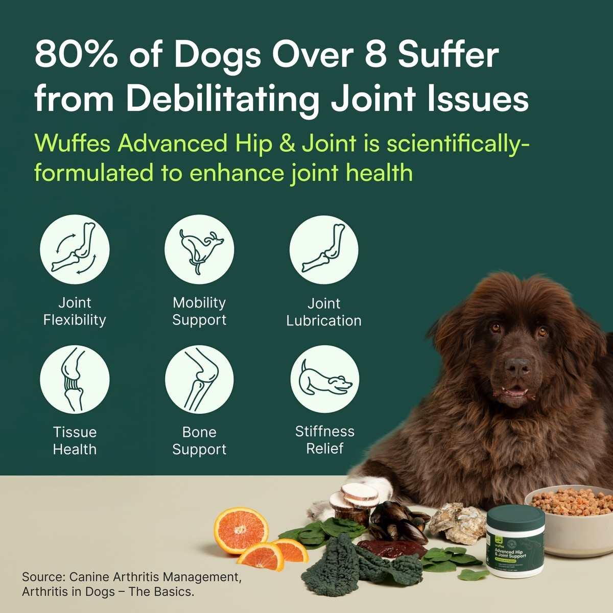 WUFFES Advanced Hip & Joint Supplement with Glucosamine & Chondroitin ...