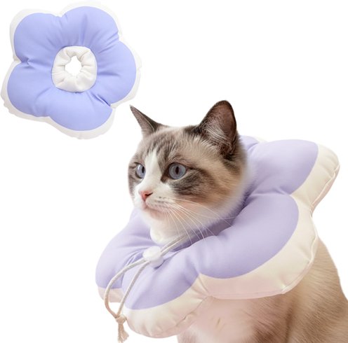 Cat Cones: Cat Cone Collars for Recovery (Free Shipping) | Chewy