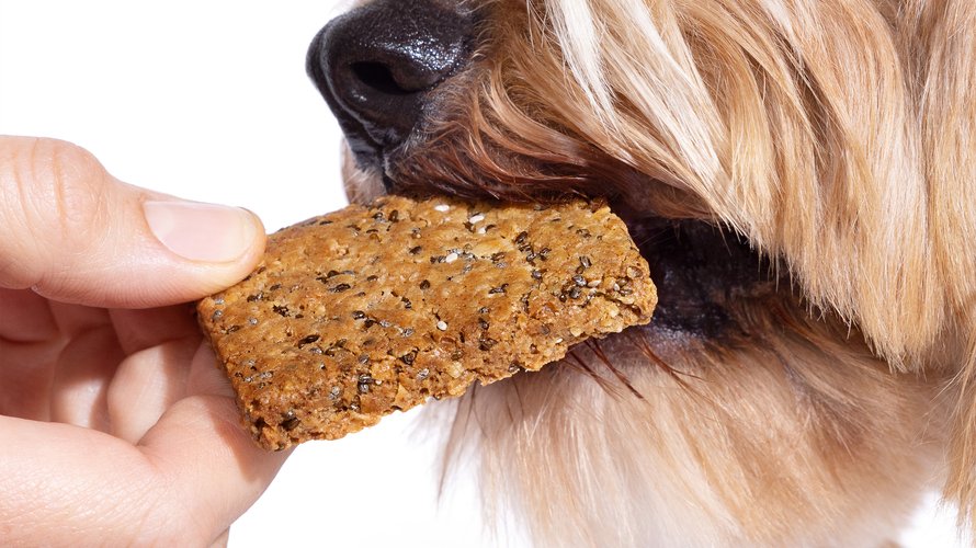 Maev Dog Food - Raw Food for Dogs | Chewy