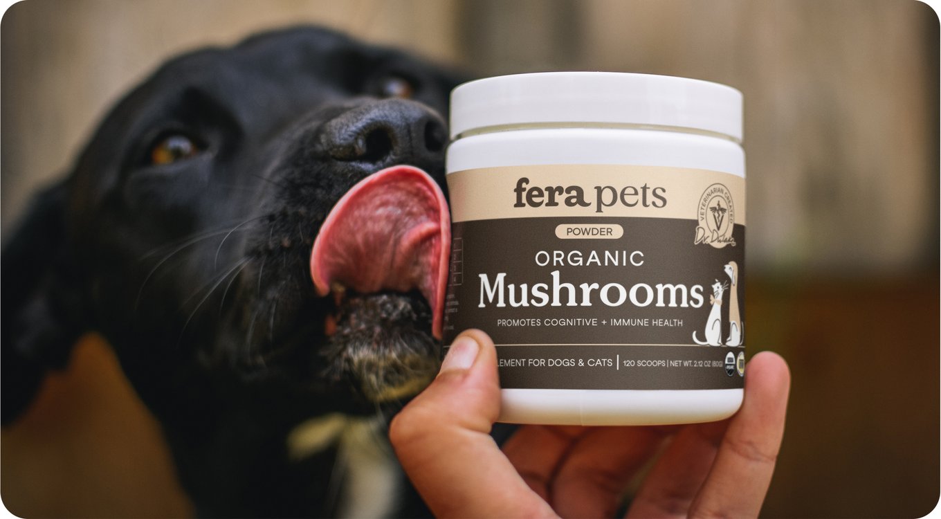 FERA PETS Mushroom Cognitive & Immune Support Powder Supplement for Dog ...