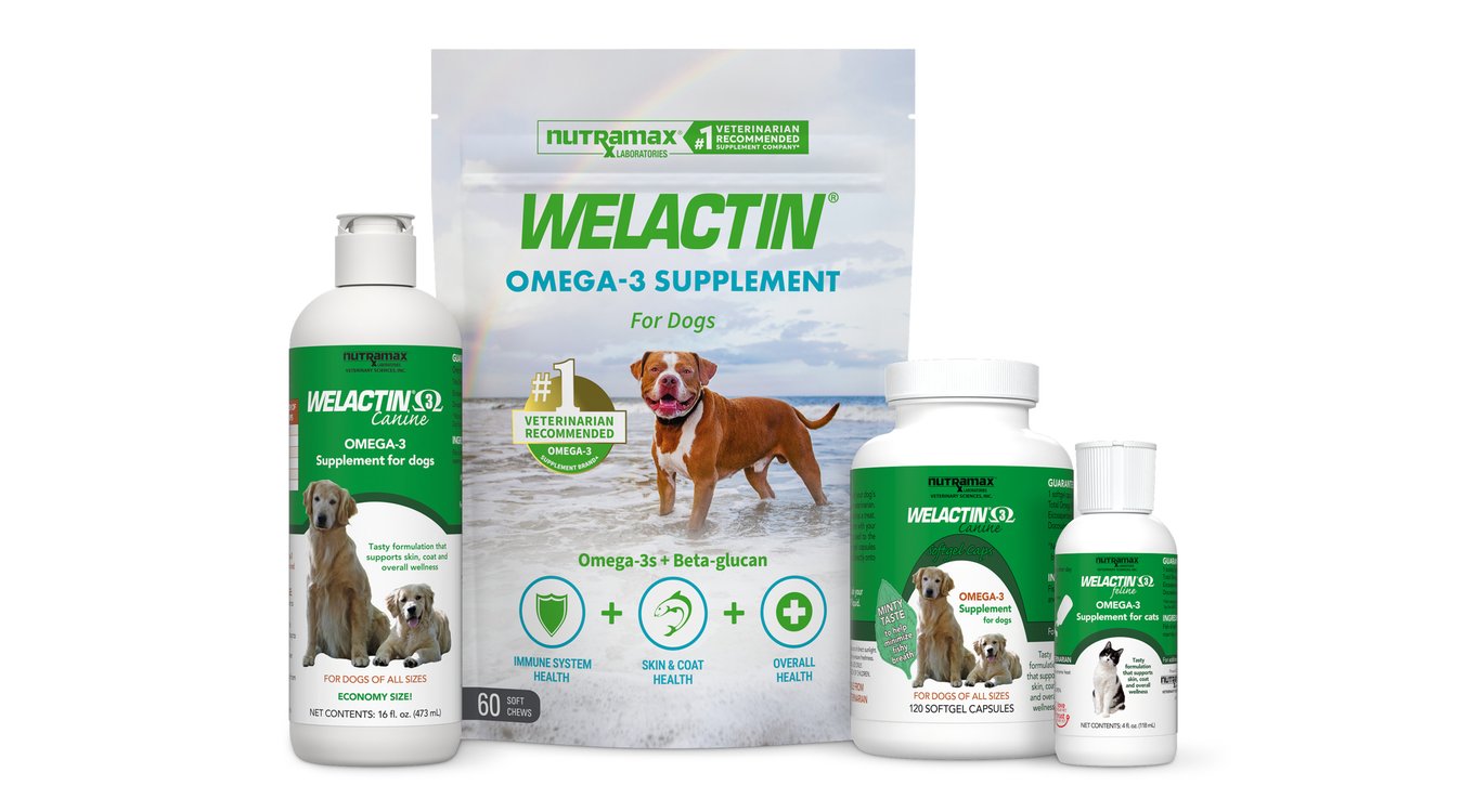 NUTRAMAX Welactin Omega-3 Liquid Skin & Coat Supplement for Dogs, 16-fl ...