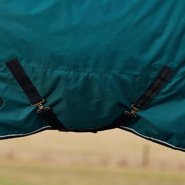 WEATHERBEETA ComFiTec Classic Standard Neck 220G Horse Turnout, Forest ...