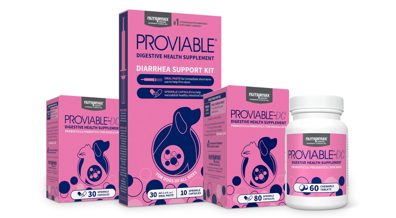 Nutramax Proviable-DC Capsules Dog & Cat Supplement (Free Shipping) | Chewy