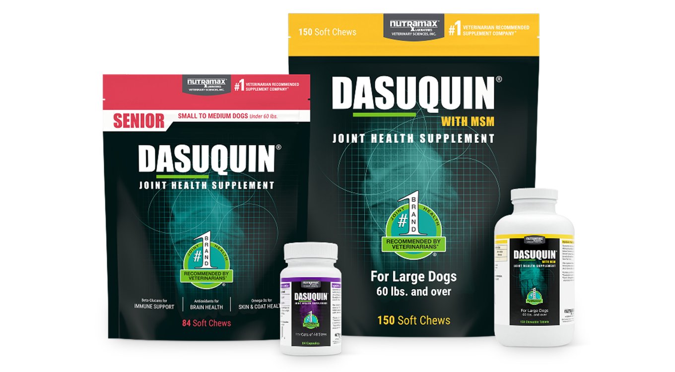 NUTRAMAX Dasuquin Joint Health Supplement for Small/Medium Senior Dogs ...