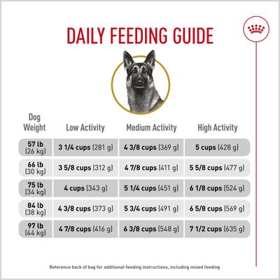 ROYAL CANIN Breed Health Nutrition German Shepherd Adult Dry Dog Food ...