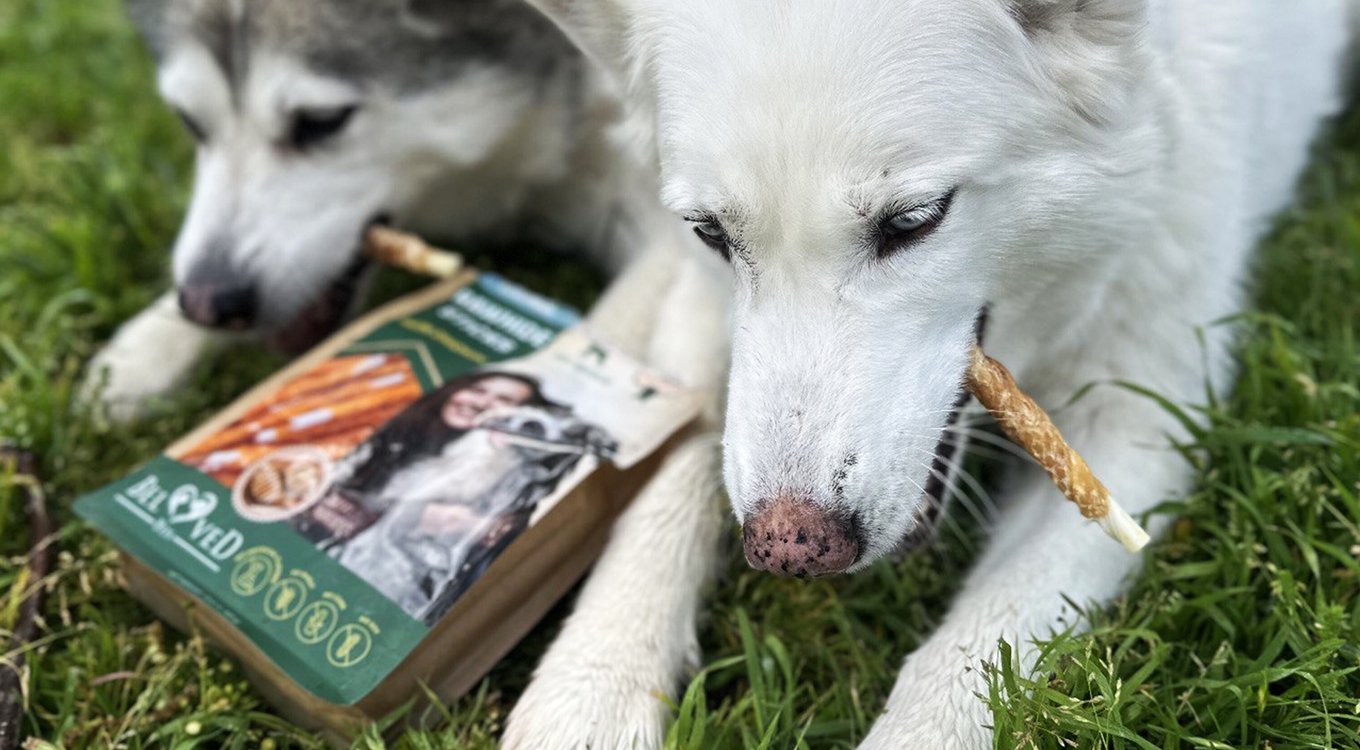 BELOVED PETS Natural Pet Dried Snacks Chicken Strips & Meat Sticks ...