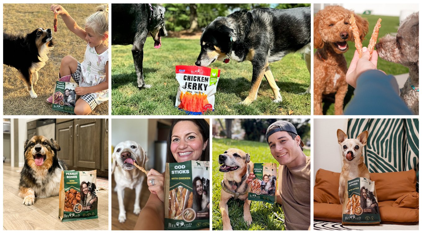 BELOVED PETS Natural Pet Dried Snacks Chicken Strips & Meat Sticks ...