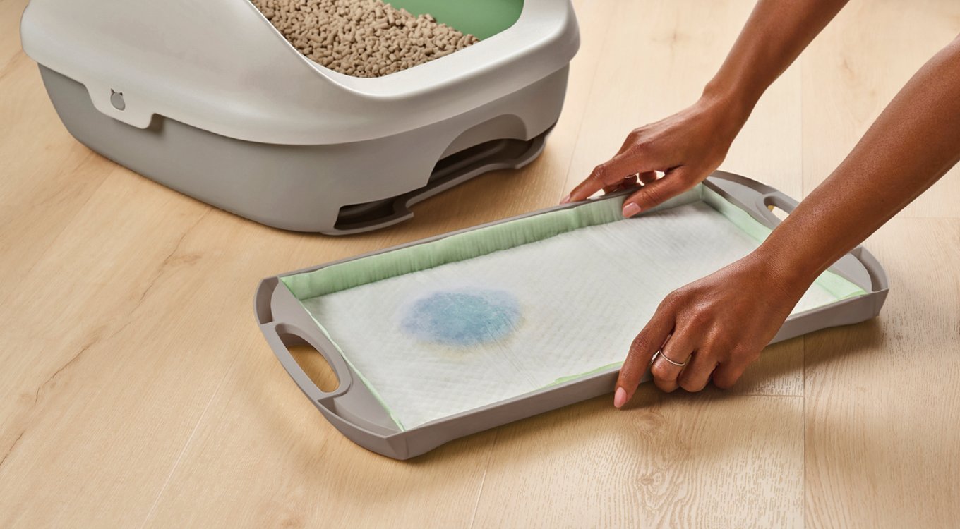 Tidy Cats Breeze Cat Pads | Chewy (Free Shipping)