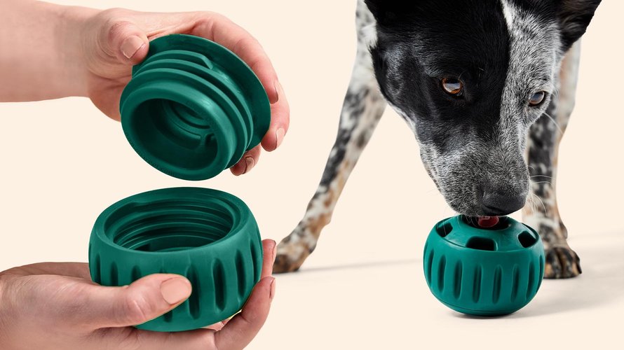 Woof - Free shipping | Chewy