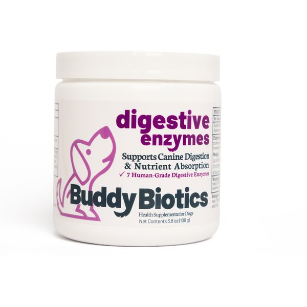 RX VITAMINS Rx Clay Powder Digestive Supplement for Dogs, 100-g - Chewy.com