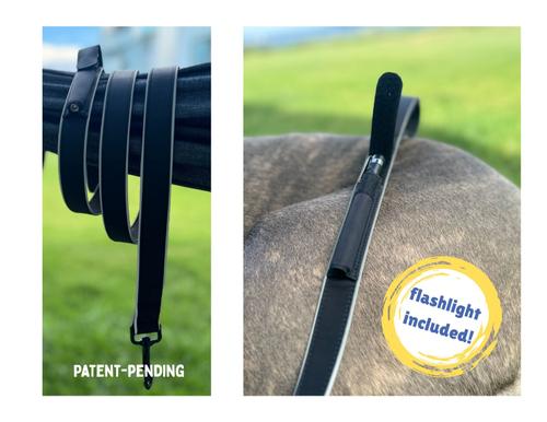 IBK DOGGIES LUMI Dog Leash, Flashlight, Canvas Bag & Collar, Black, X ...