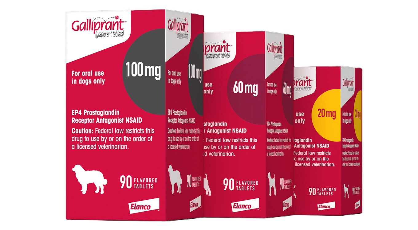 GALLIPRANT (grapiprant) Tablets for Dogs, 20-mg - Easy Refills | Chewy Rx