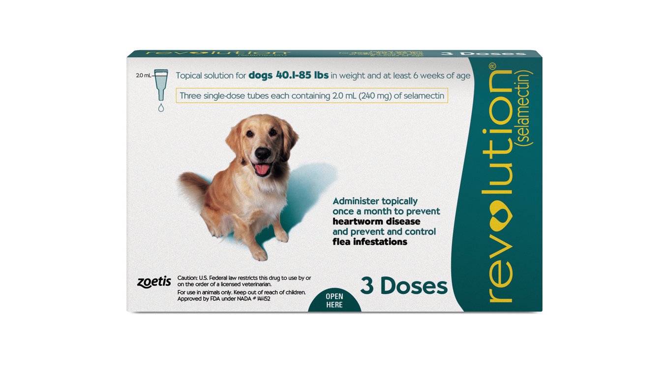 REVOLUTION Topical Solution for Dogs, 40.1-85 lbs, (Teal Box) - Easy ...