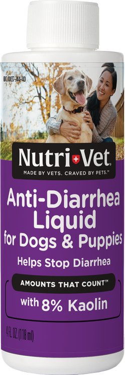 Dog Anti Diarrhea Treatment & Digestion Relief - Free Shipping | Chewy