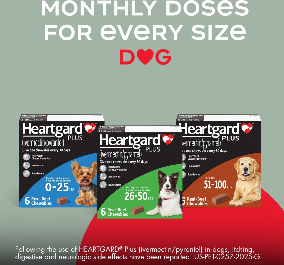 HEARTGARD Plus Chew for Dogs, up to 25 lbs, (Blue Box) - Easy Refills ...