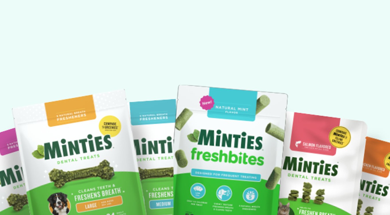 MINTIES FreshBites Soft & Chewy Dog Dental Treats, 50 count - Chewy.com