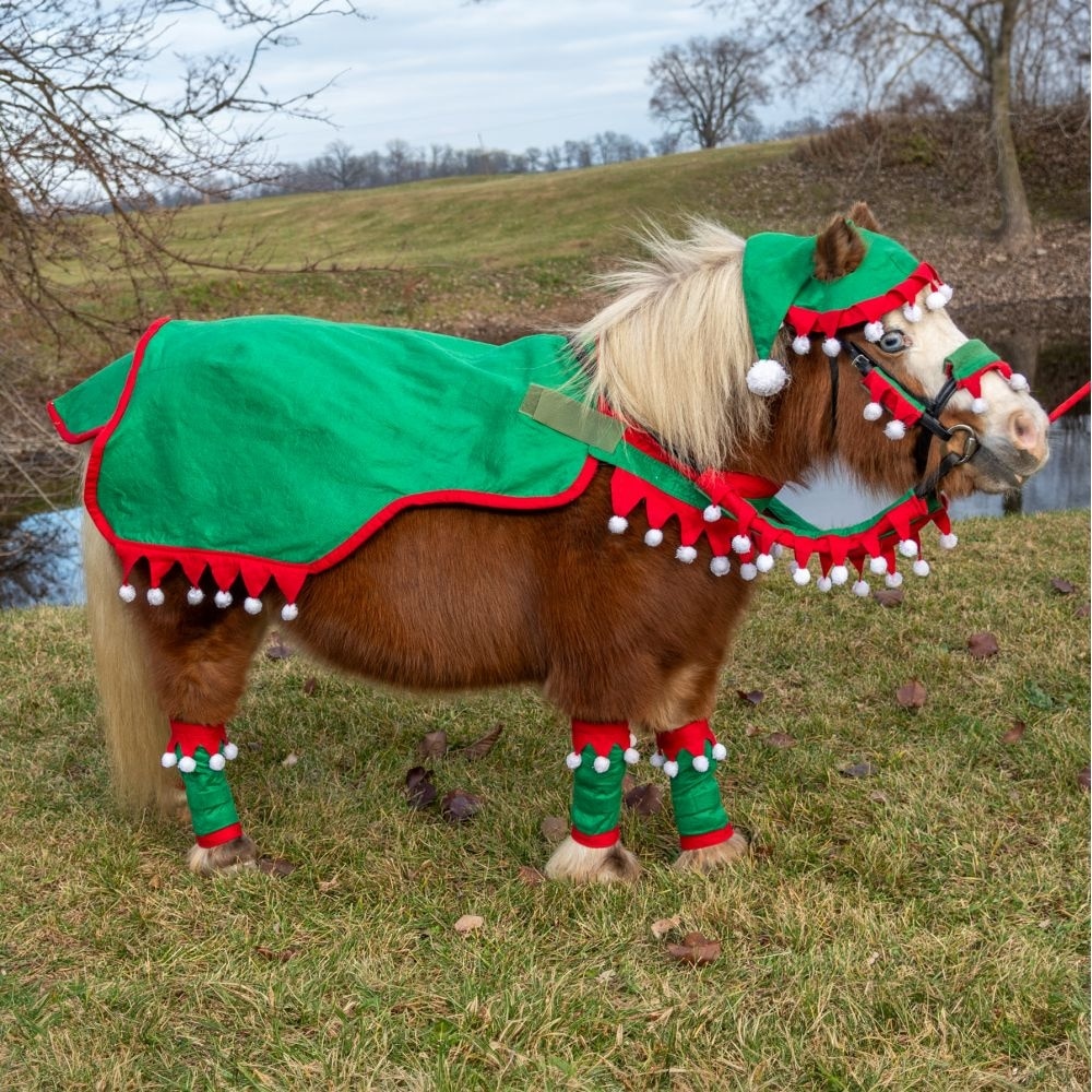 TOUGH1 Mini 5 Piece Elf Horse Sheet Set, Green/Red/White - Chewy.com