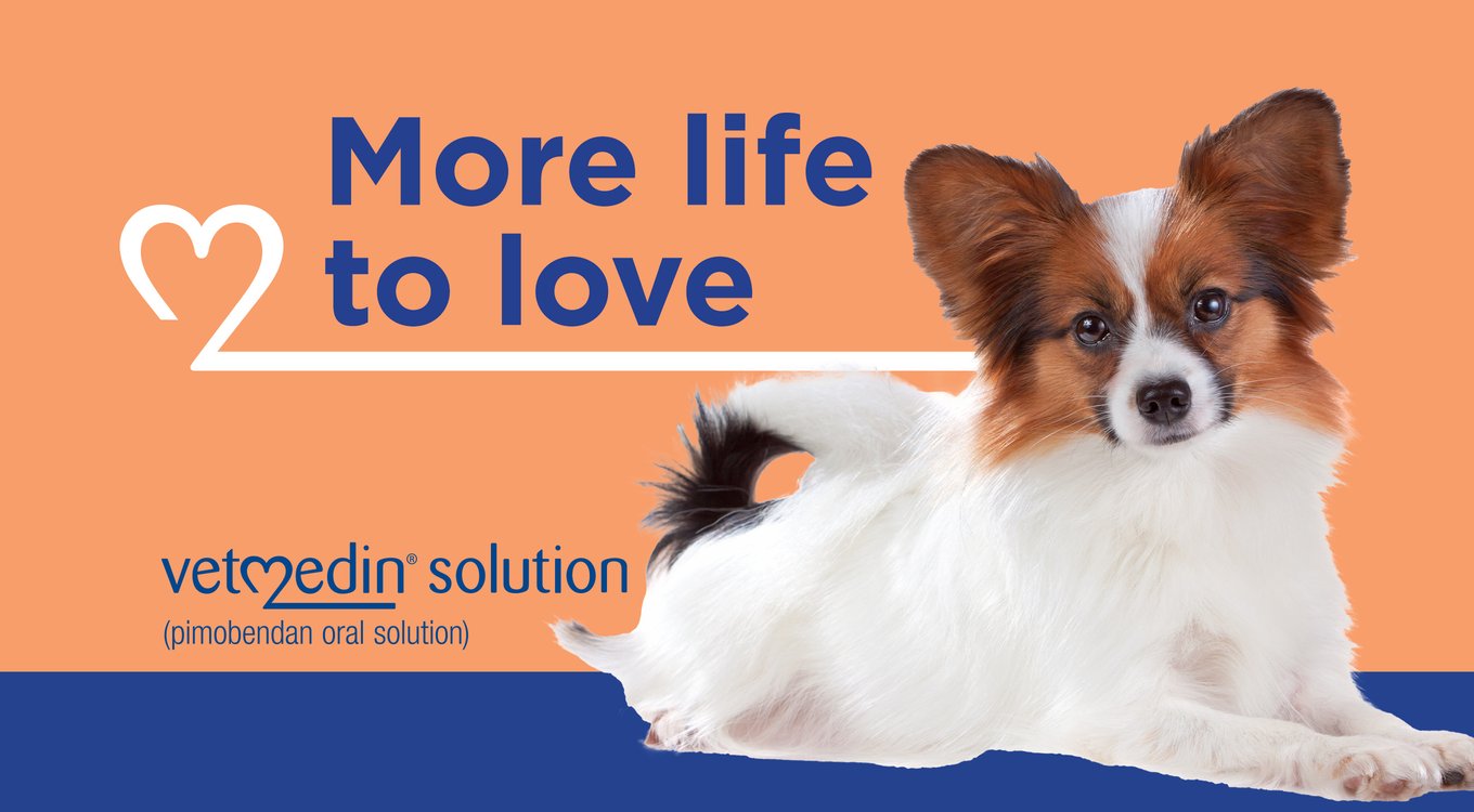 VETMEDIN (pimobendan) Solution for Dogs, 1.5 mg/mL, 50 mL - Easy ...