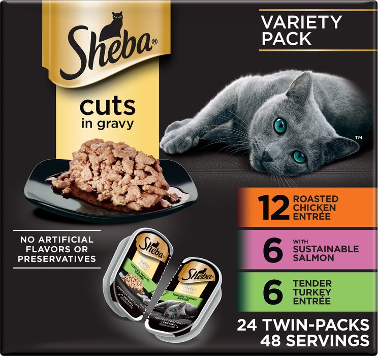 SHEBA CAT FOOD (Free Shipping) | Chewy